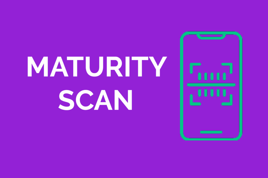 Maturity Scan: how mature is your organization? — Data Science Lab